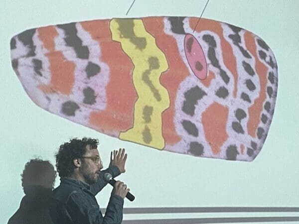 Dr. Gawne Addressed Color and Pattern Adaptations in Moths and ...